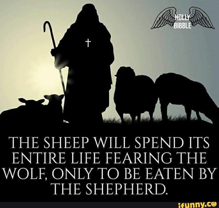 All THE SHEEP WILL SPEND ITS ENTIRE LIFE FEARING THE WOLF, ONLY TO BE ...