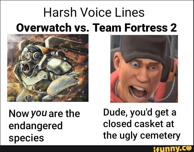 Harsh Voice Lines Ov match vs. Team Fortress 2 Now you are the Dude ...