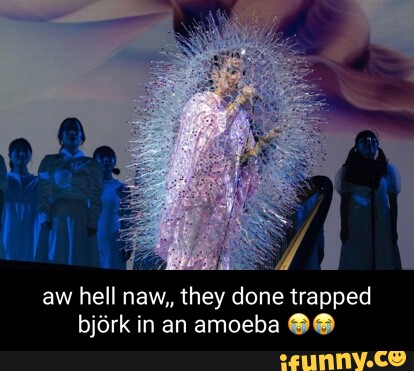 Aw hell naw,, they done trapped bjork in an amoeba - iFunny