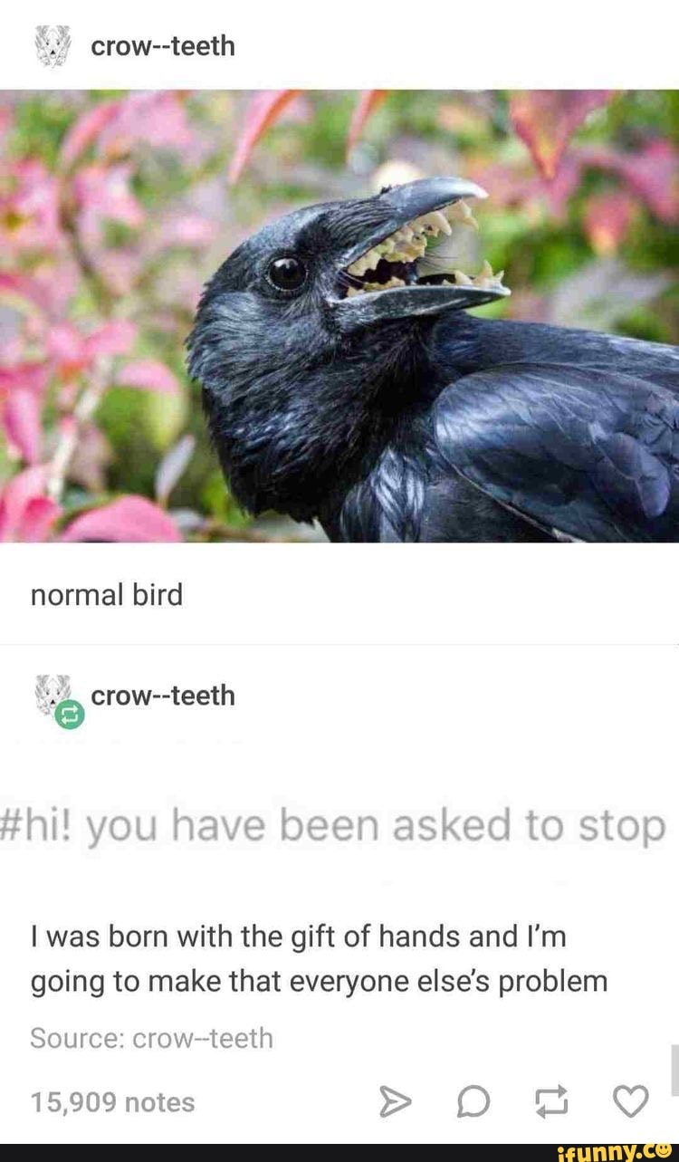 Crow--teeth normal bird crow--teeth #hi! you have been asked to stop I ...