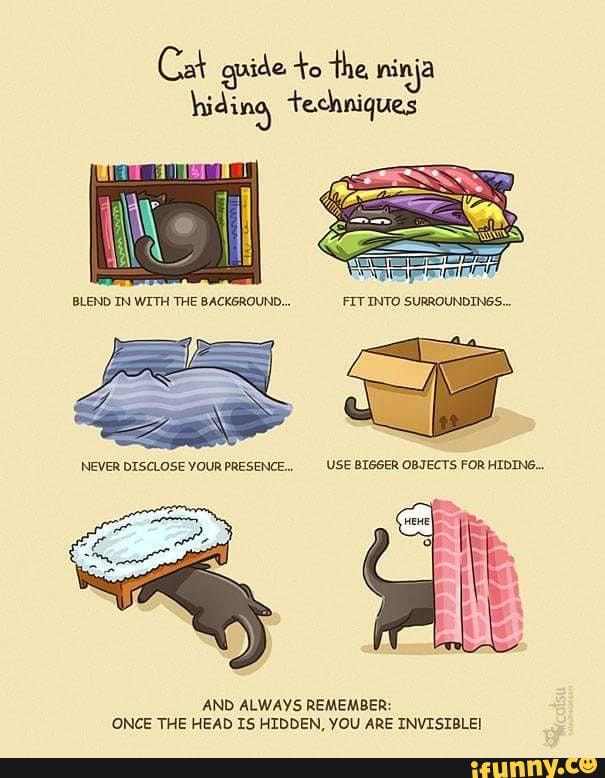 V. Changing tablets, saving the fun, the memes are free, please steal ...