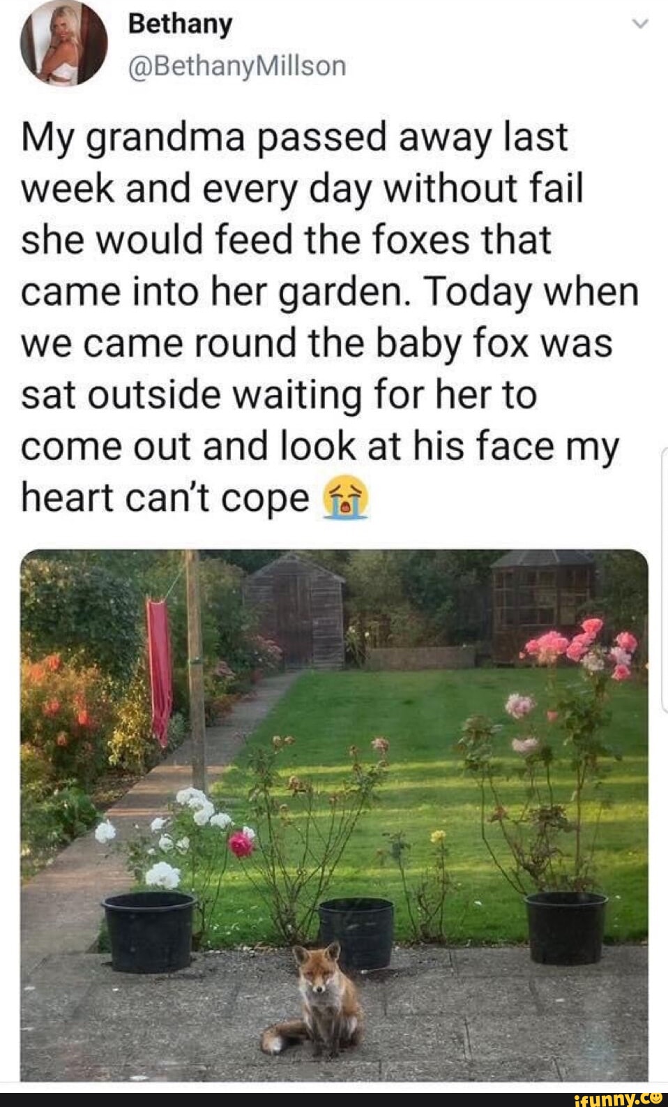 Bethany memes. Best Collection of funny Bethany pictures on iFunny