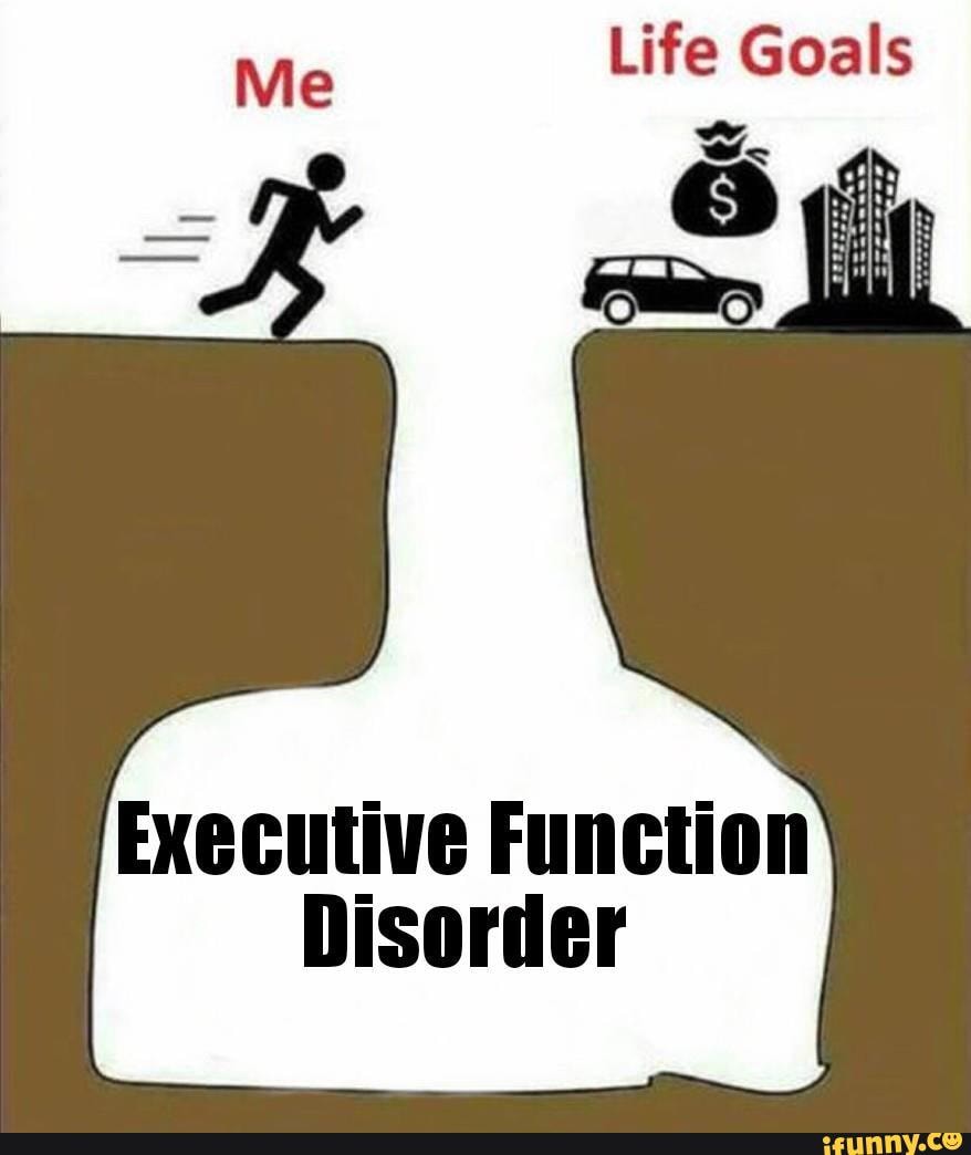 ADHD Meme Dump the 3rd - Me Life Goals Executive Function Disorder - iFunny
