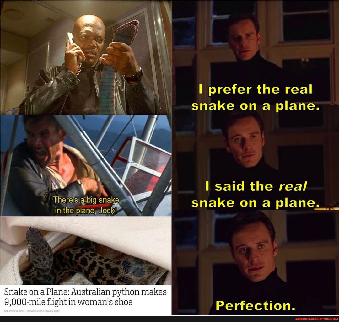 🐍 Meme by @beingevolved - I prefer the real snake on a plane. I said ...