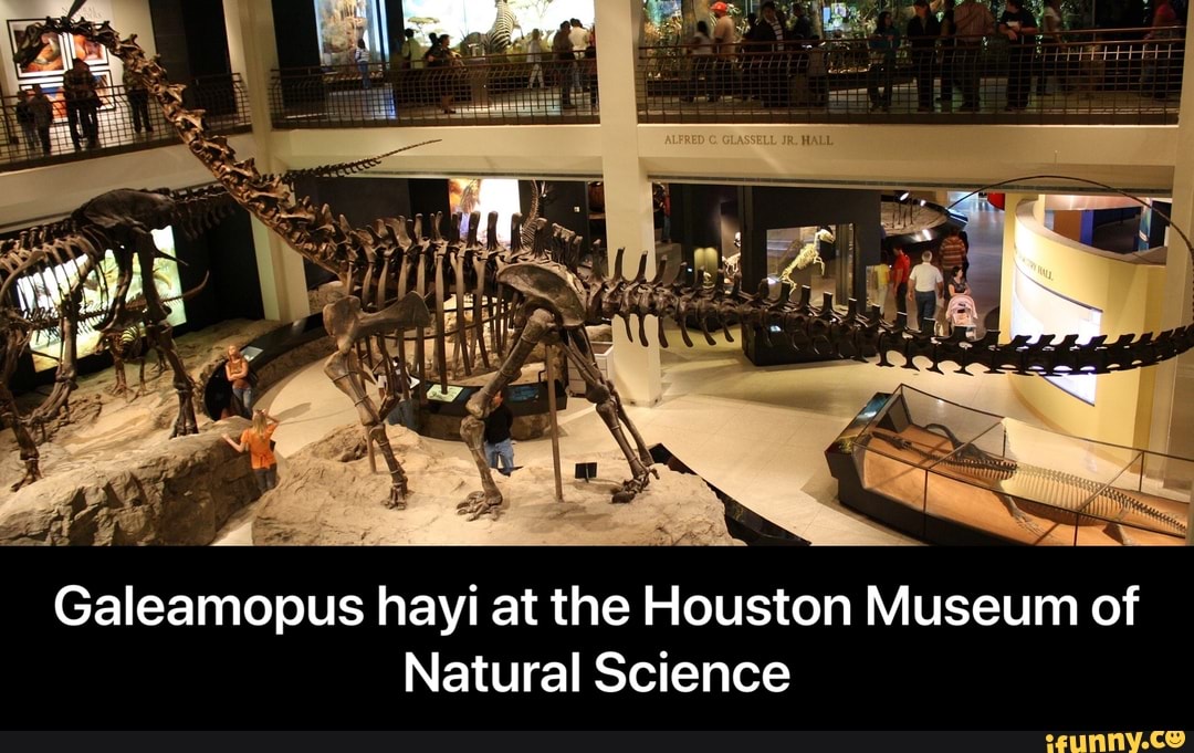 Houstonmuseumofnaturalscience memes. Best Collection of funny ...