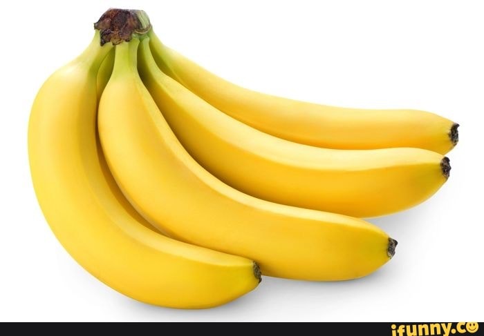 Planaria memes. Best Collection of funny Planaria pictures on iFunny