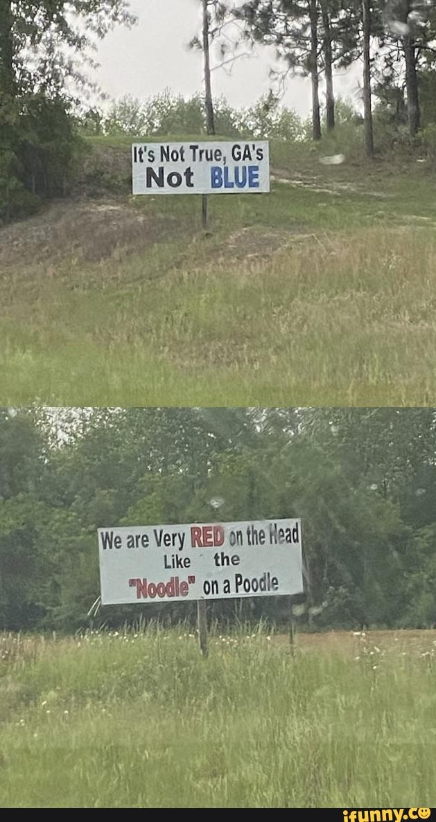 Moodle memes. Best Collection of funny Moodle pictures on iFunny