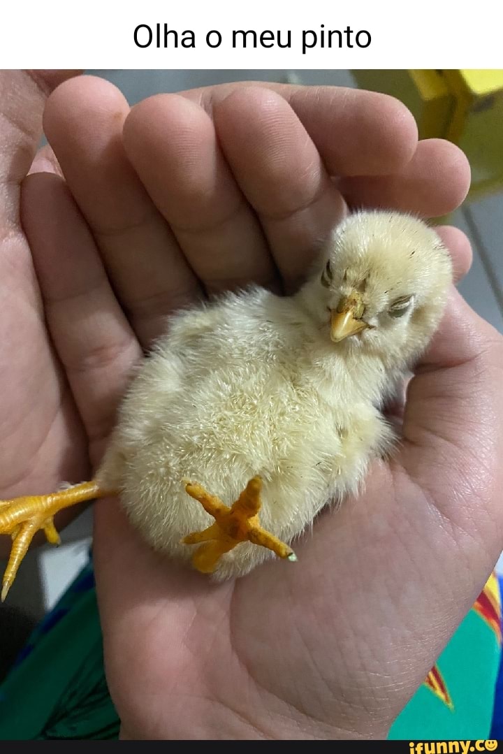 CONFIA WILL SMITH CONFIA HD PRA VCS - WILL SMITH CONFIA HD PRA VCS - )