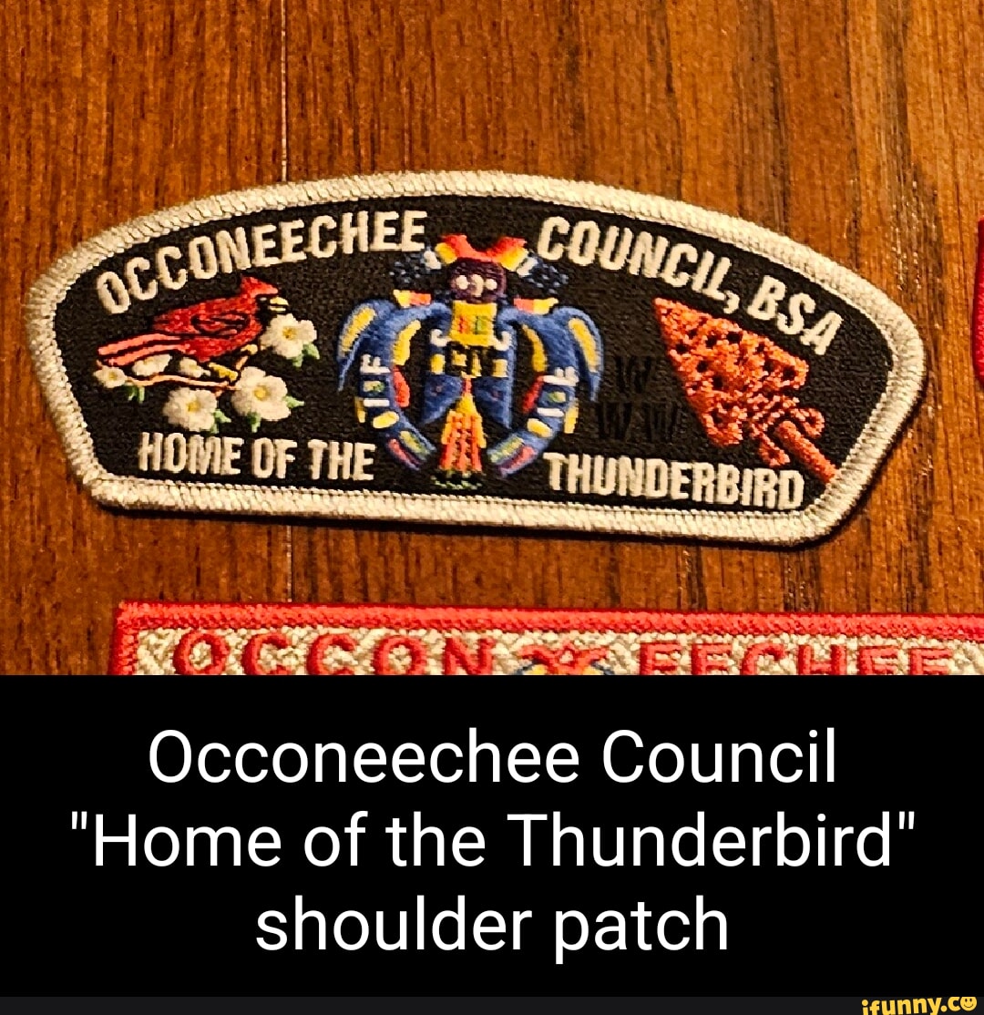 Thunderbird memes. Best Collection of funny Thunderbird pictures on iFunny