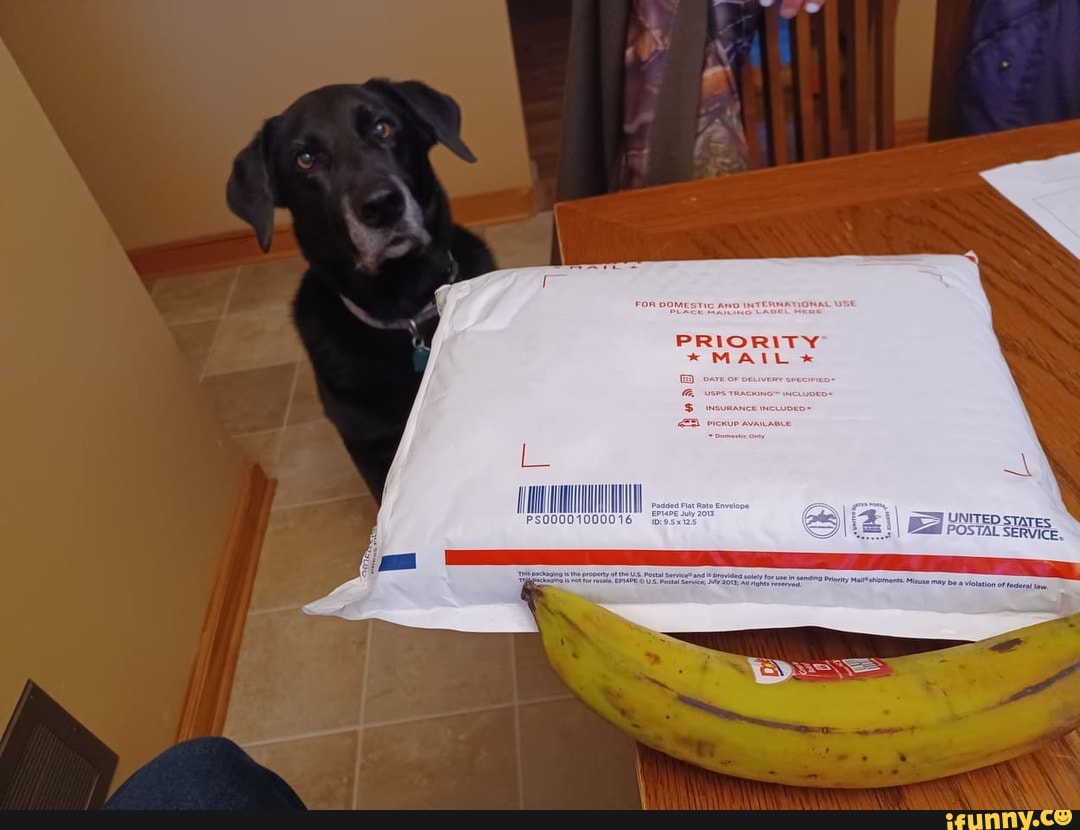 Plantain_for_scale memes. Best Collection of funny Plantain_for_scale ...