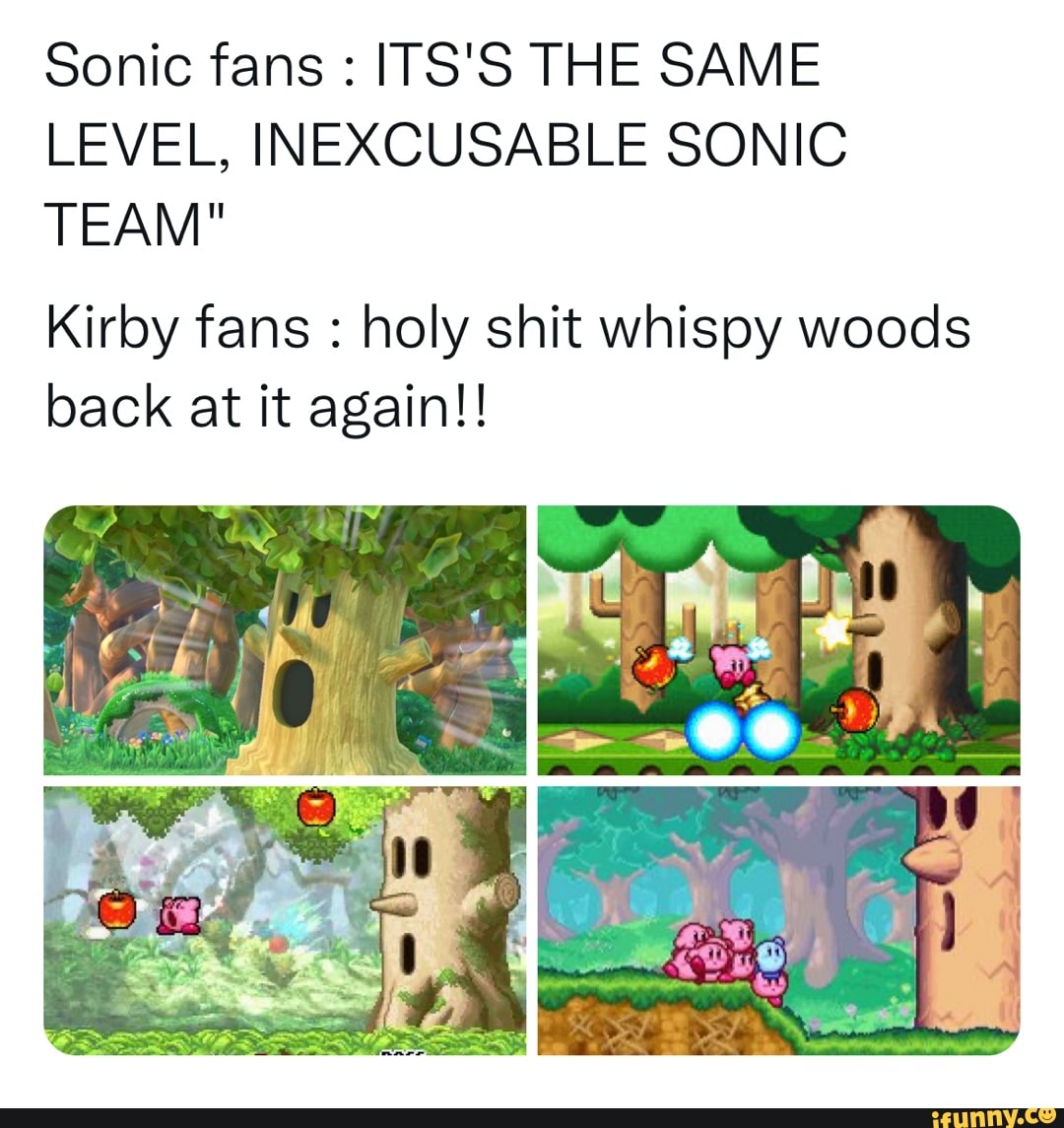 Sonic fans : ITS'S THE SAME LEVEL, INEXCUSABLE SONIC TEAM" Kirby fans ...