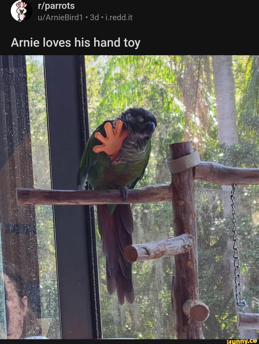 Arnie memes. Best Collection of funny Arnie pictures on iFunny