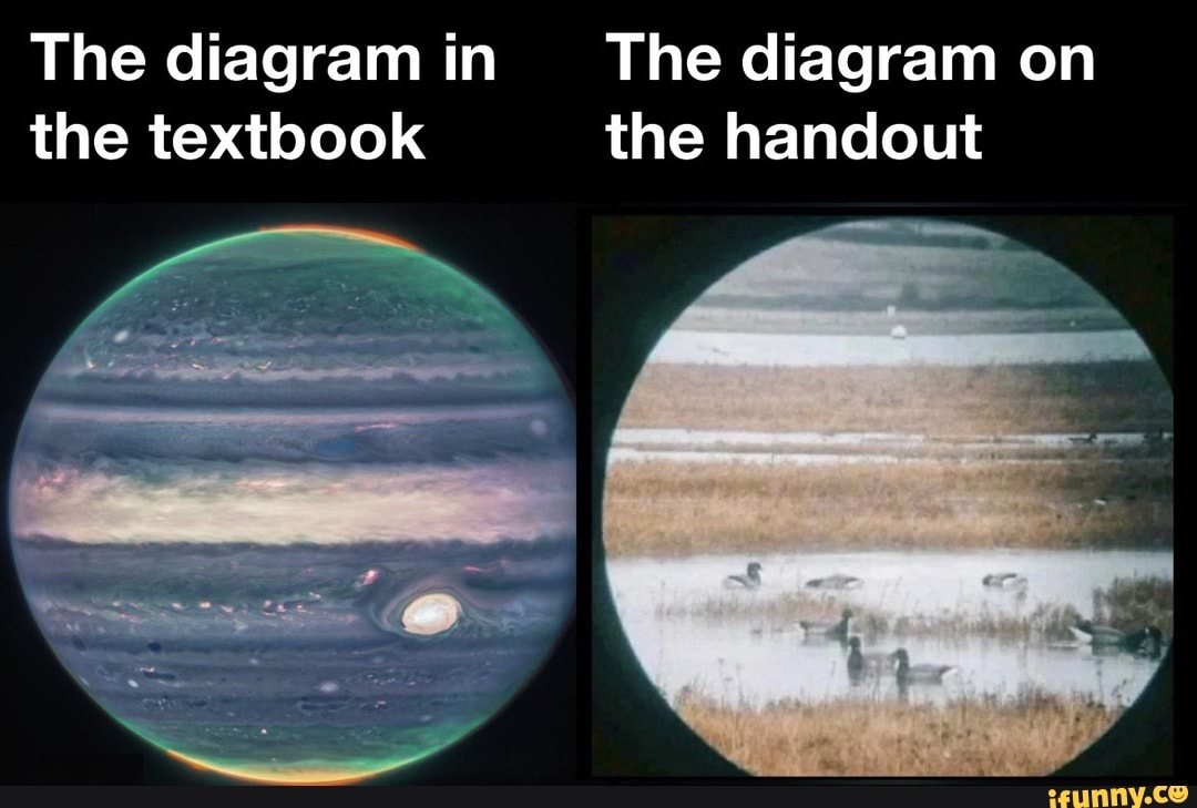 The diagram in The diagram on the textbook the handout - iFunny