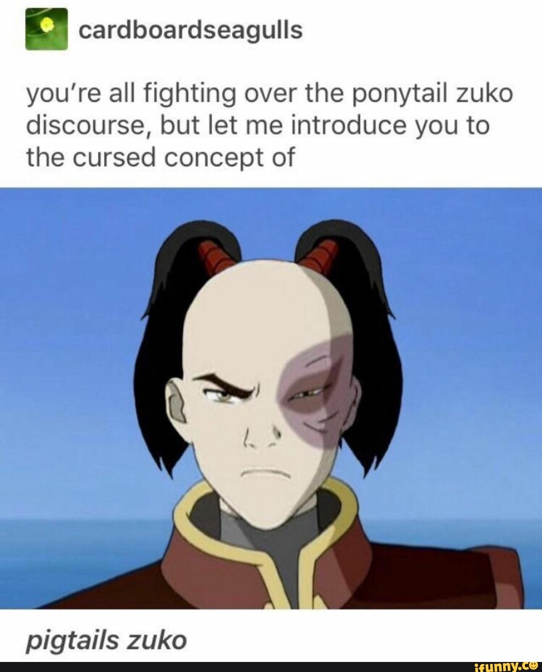 E cardboardseagulls you're all fighting over the ponytail zuko ...