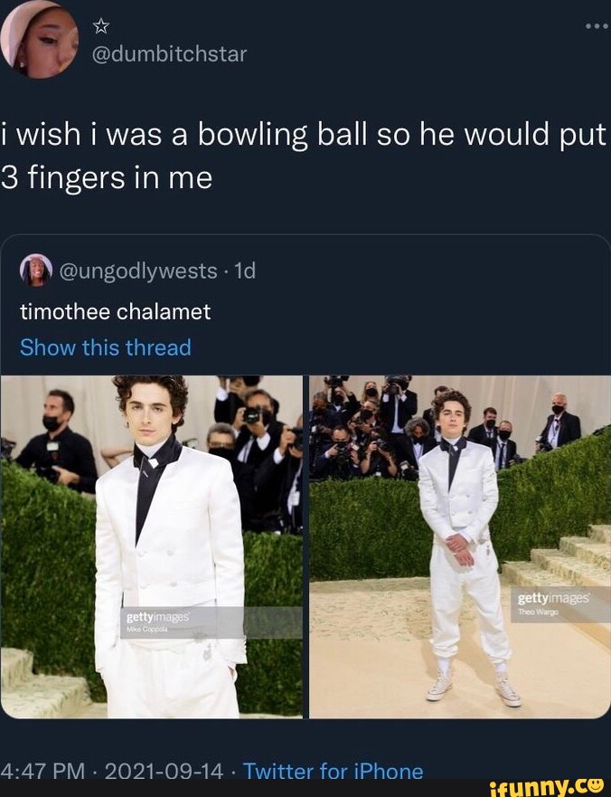 Timothee memes. Best Collection of funny Timothee pictures on iFunny