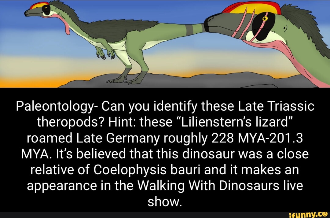 Paleontology- Can you identify these Late Triassic theropods? Hint ...