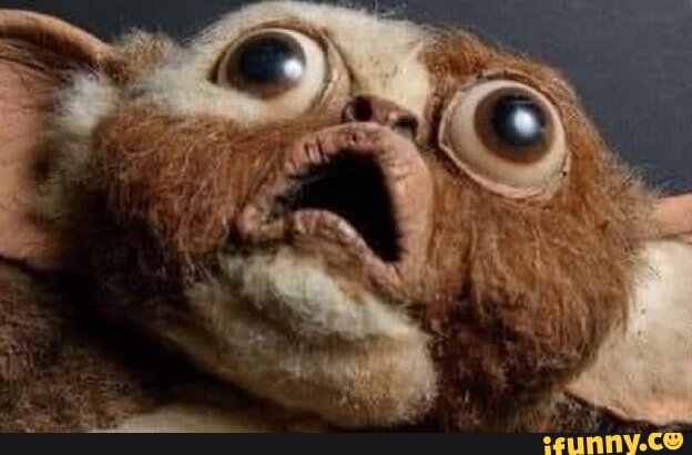 Gremlin memes. Best Collection of funny Gremlin pictures on iFunny