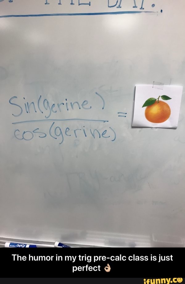 Precalculus memes. Best Collection of funny Precalculus pictures on iFunny