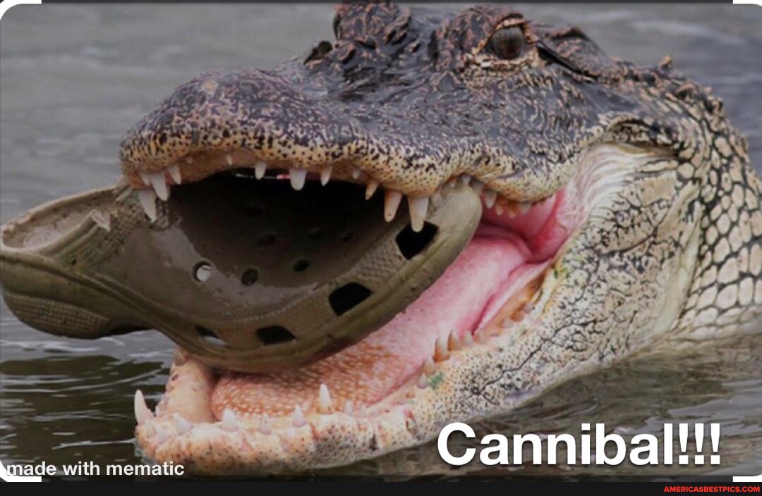 Cannibal!!! \fade with mematic - America’s best pics and videos