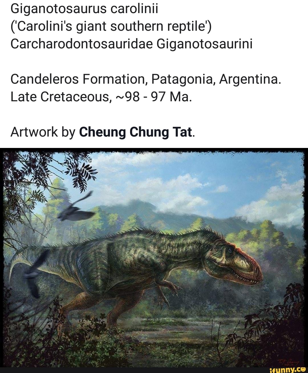 Giganotosaurus carolinii ('Carolini's giant southern reptile ...