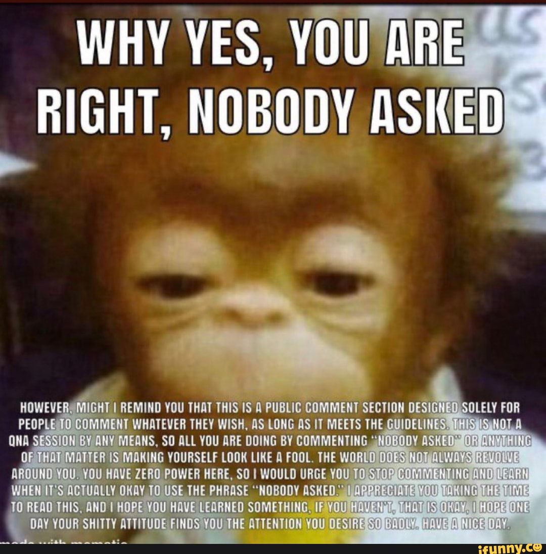 WHY YES, YOU ARE RIGHT, NOBODY ASKED HOWEVER, MIGHT REMINO YOU THAT ...