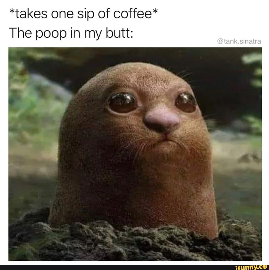*takes one sip of coffee* The poop in my butt: - iFunny