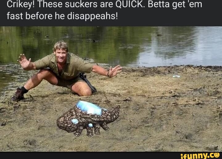 Crikey memes. Best Collection of funny Crikey pictures on iFunny