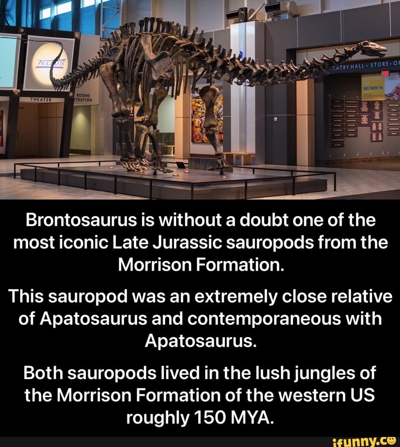 Brontosaurus is without a doubt one of the most iconic Late Jurassic ...