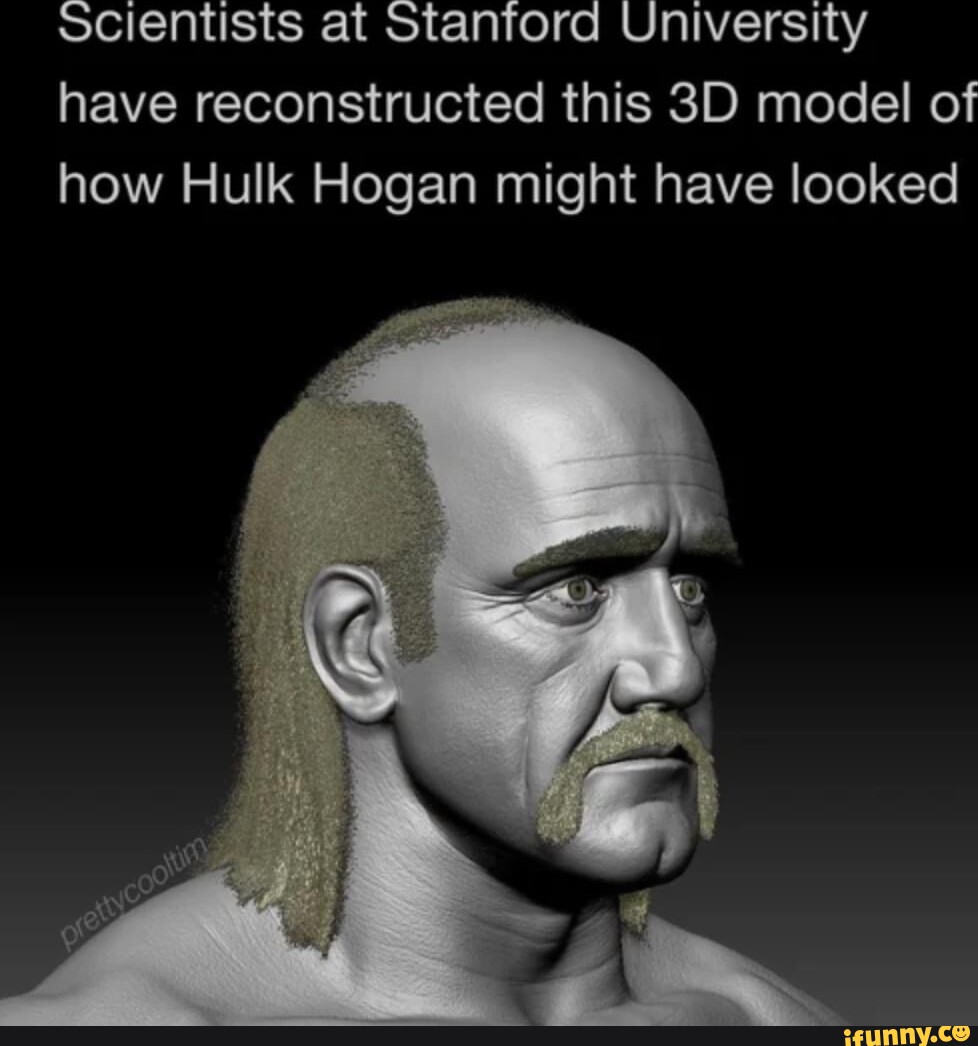 Scientists at stanford University have reconstructed this model of how ...