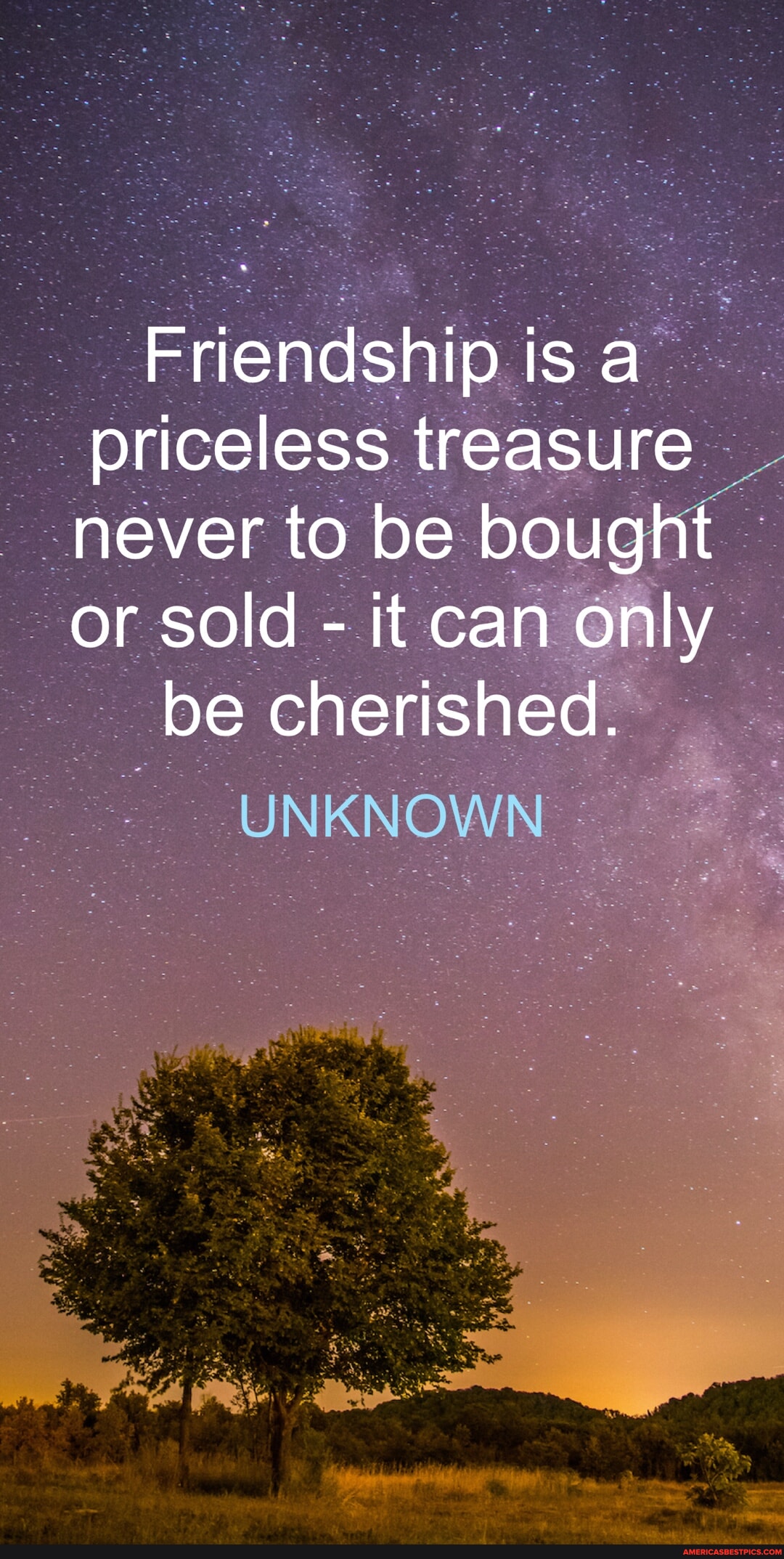 Friendship is a priceless treasure never to be bought or sold - it can ...