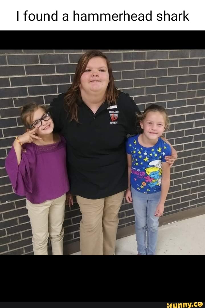 I found a hammerhead shark - iFunny