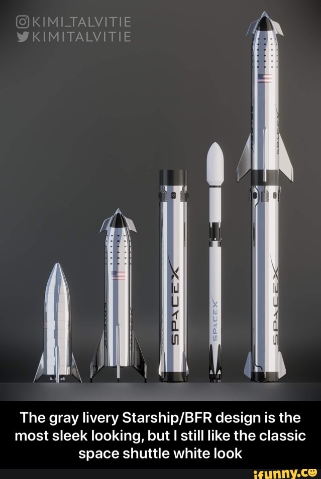 The gray livery Starship/BFR design is the most sleek looking, but I ...