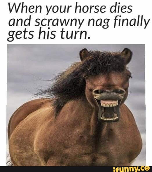 When your horse dies and scrawny nag finally gets his turn. - iFunny