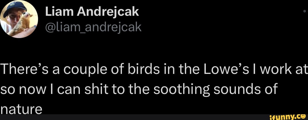 Lowes memes. Best Collection of funny Lowes pictures on iFunny