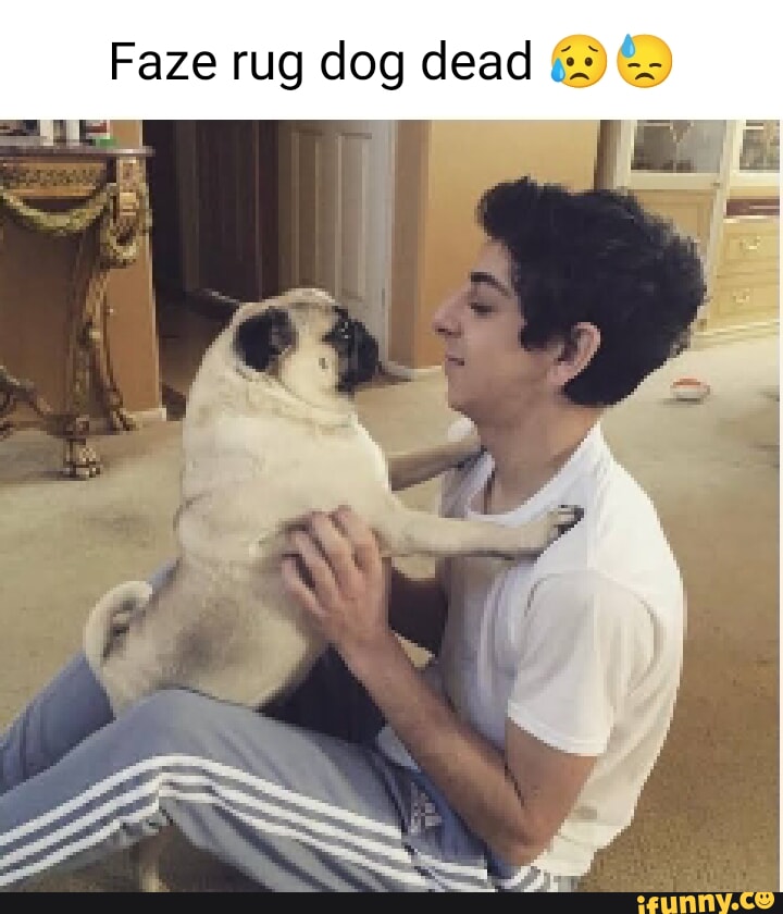 Faze rug dog dead - iFunny