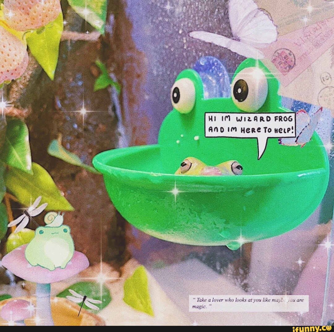 Frogaesthetic memes. Best Collection of funny Frogaesthetic pictures on ...