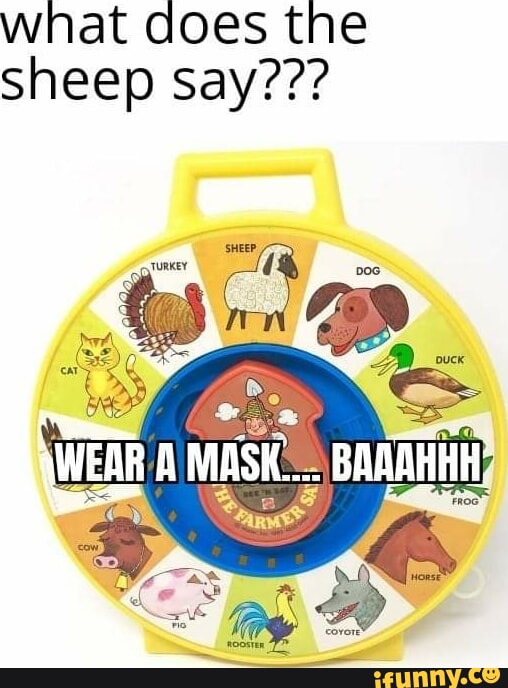 What does the sheep say??? - iFunny
