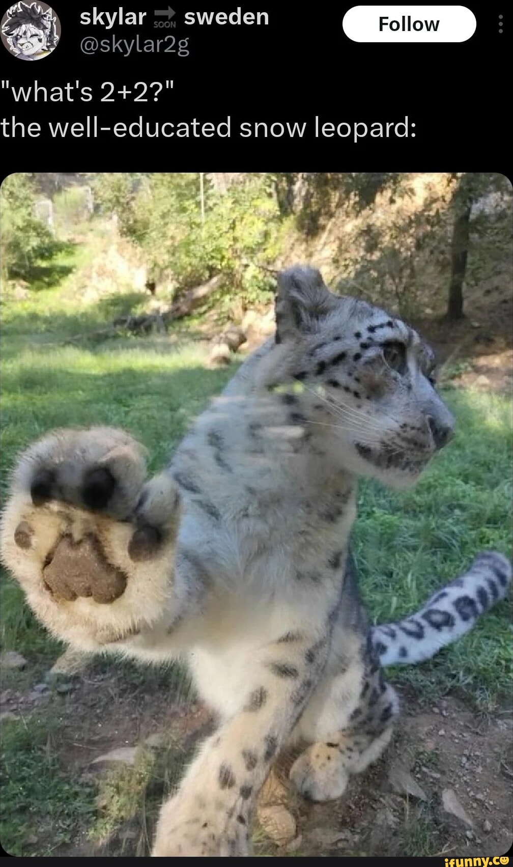 ) skylar sweden Follow "what's the well-educated snow leopard: Qa I - iFunny