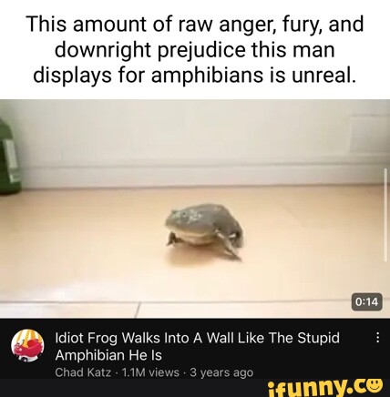Amphibian memes. Best Collection of funny Amphibian pictures on iFunny