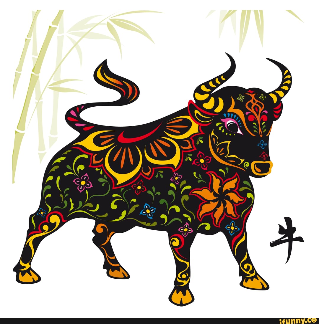 Picture memes rQ0G5sEG8 by wallstreetbetswtf_2020 - iFunny