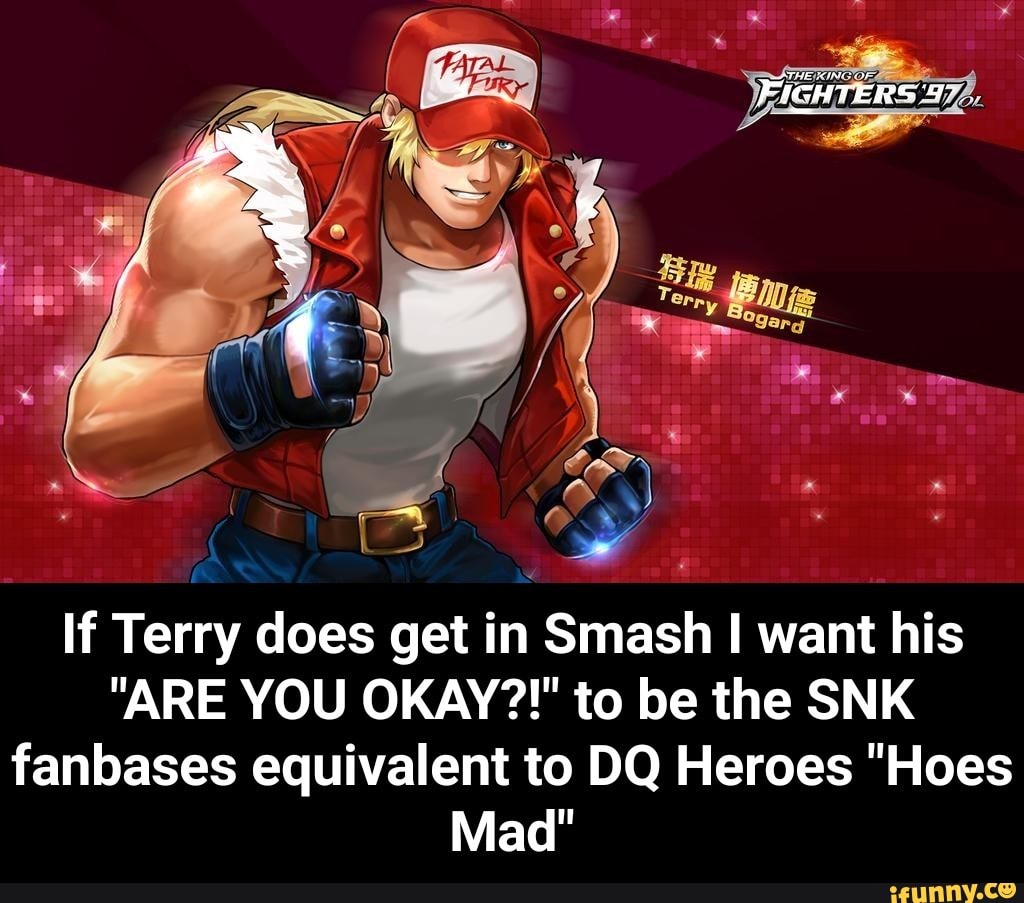 If Terry does get in Smash I want his "ARE YOU OKAY?!" to be the SNK ...