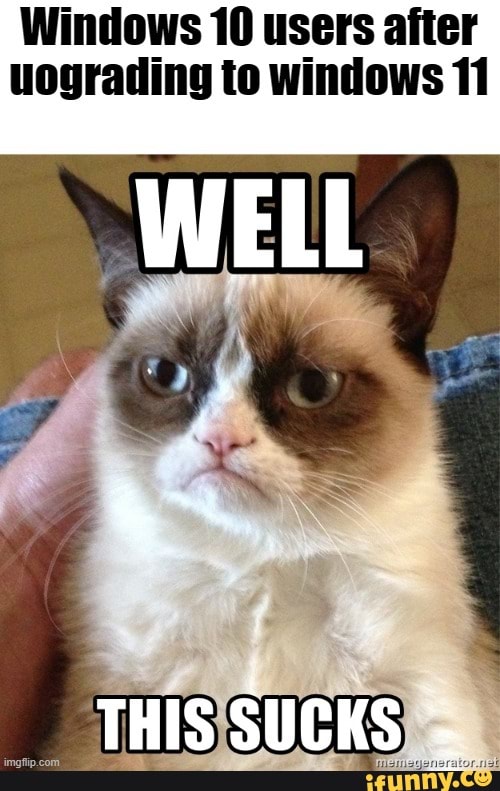 Windows 10 users after vograding to windows 11 WELL THIS SUCKS - iFunny