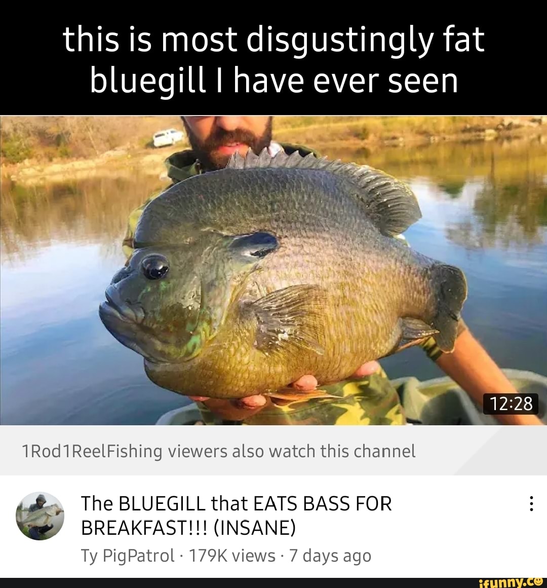 Pigpatrol memes. Best Collection of funny Pigpatrol pictures on iFunny