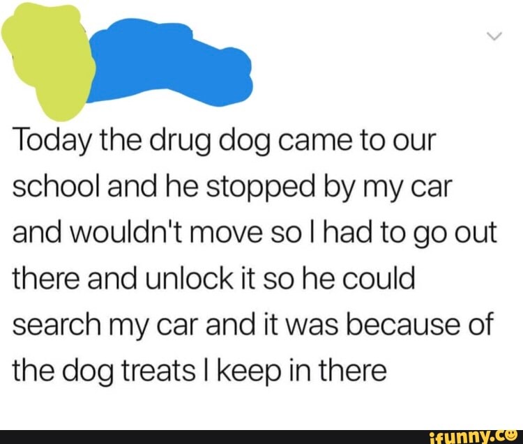 Today the drug dog came to our school and he stopped by my car and ...