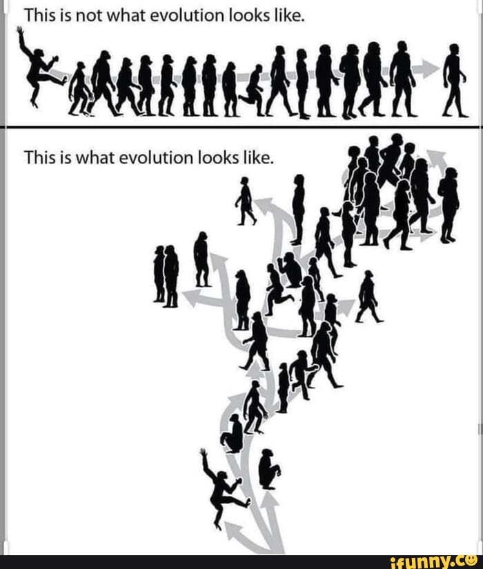 Interesting - This is not what evolution looks like. - iFunny