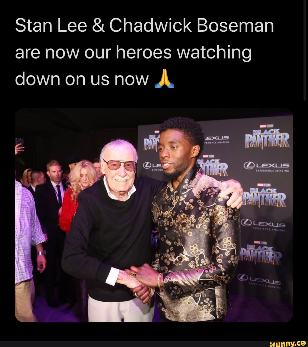 Stan Lee & Chadwick Boseman are now our heroes watching down on us now ...