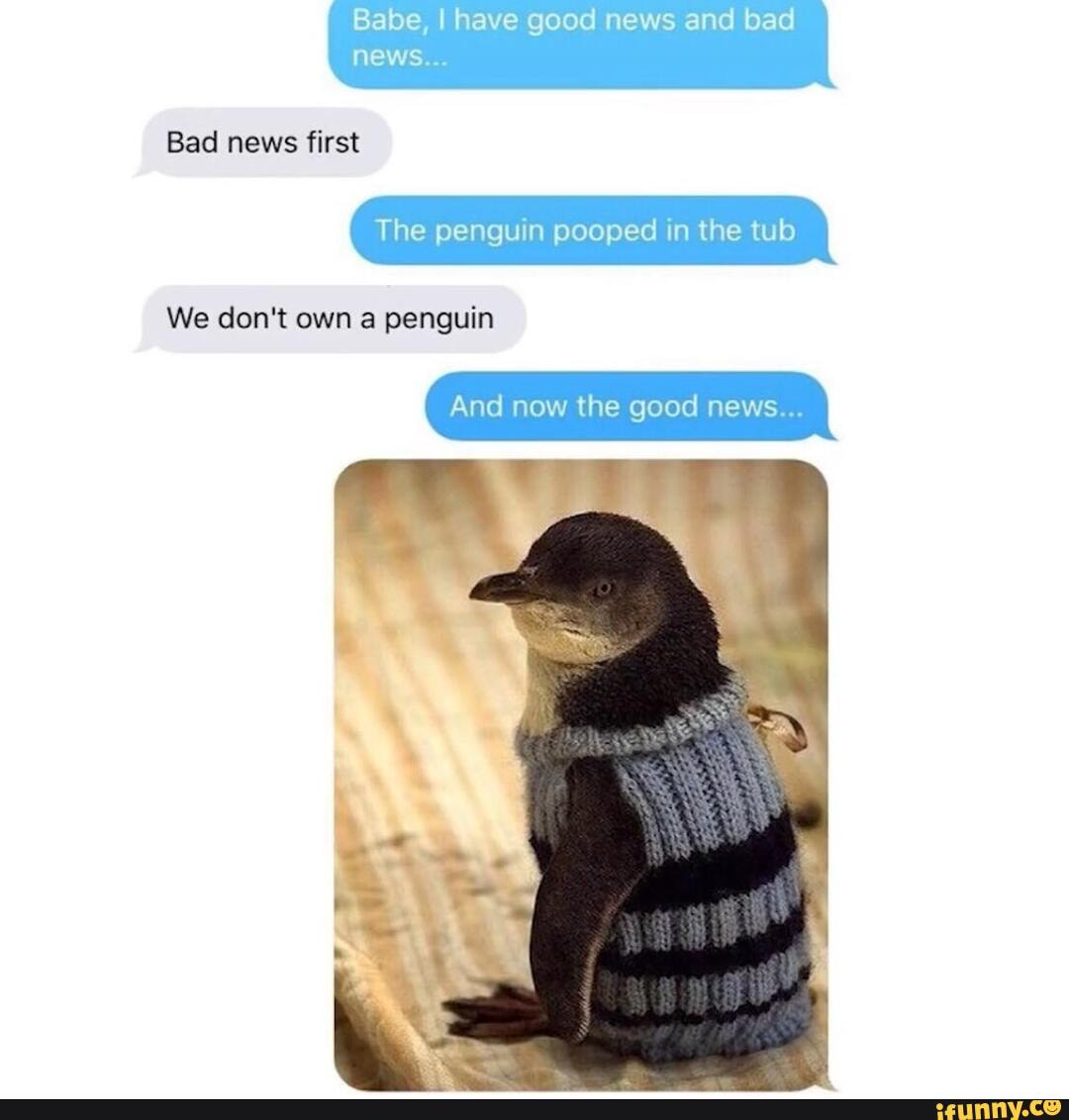 We don't own a penguin And now the good news... The penguin pooped in ...