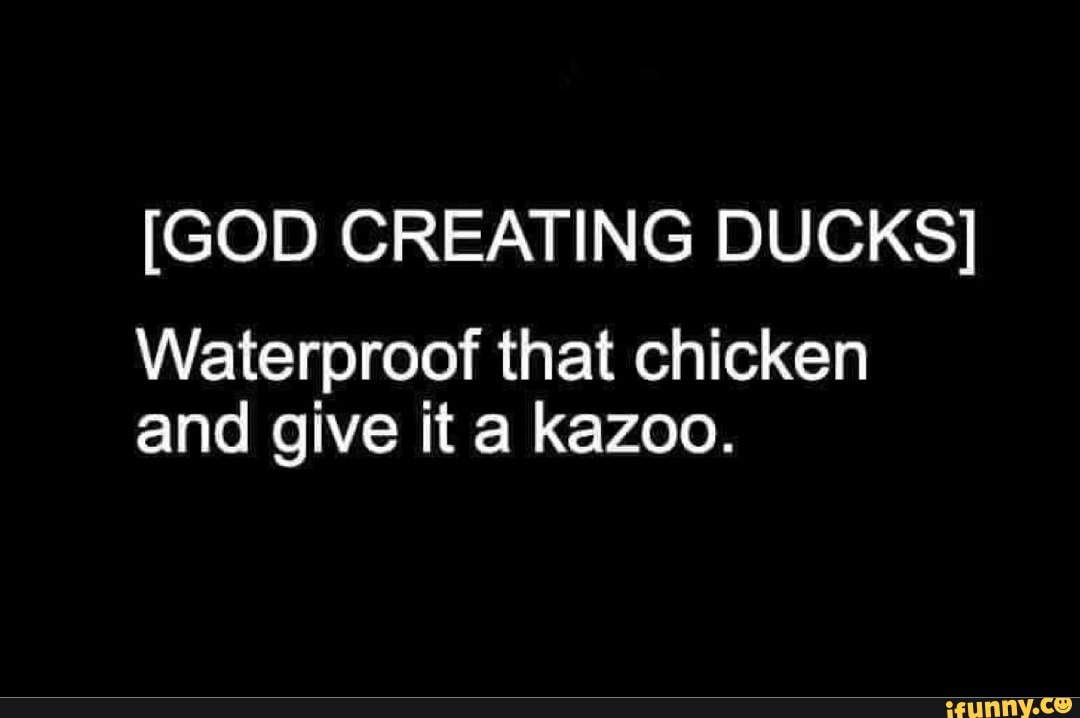 [GOD CREATING DUCKS] Waterproof that chicken and give it a kazoo. - iFunny