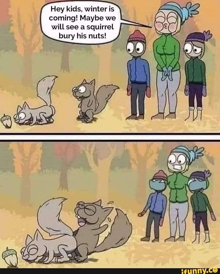 Hey kids, winter is coming! Maybe we will see a squirrel bury his nuts! - iFunny