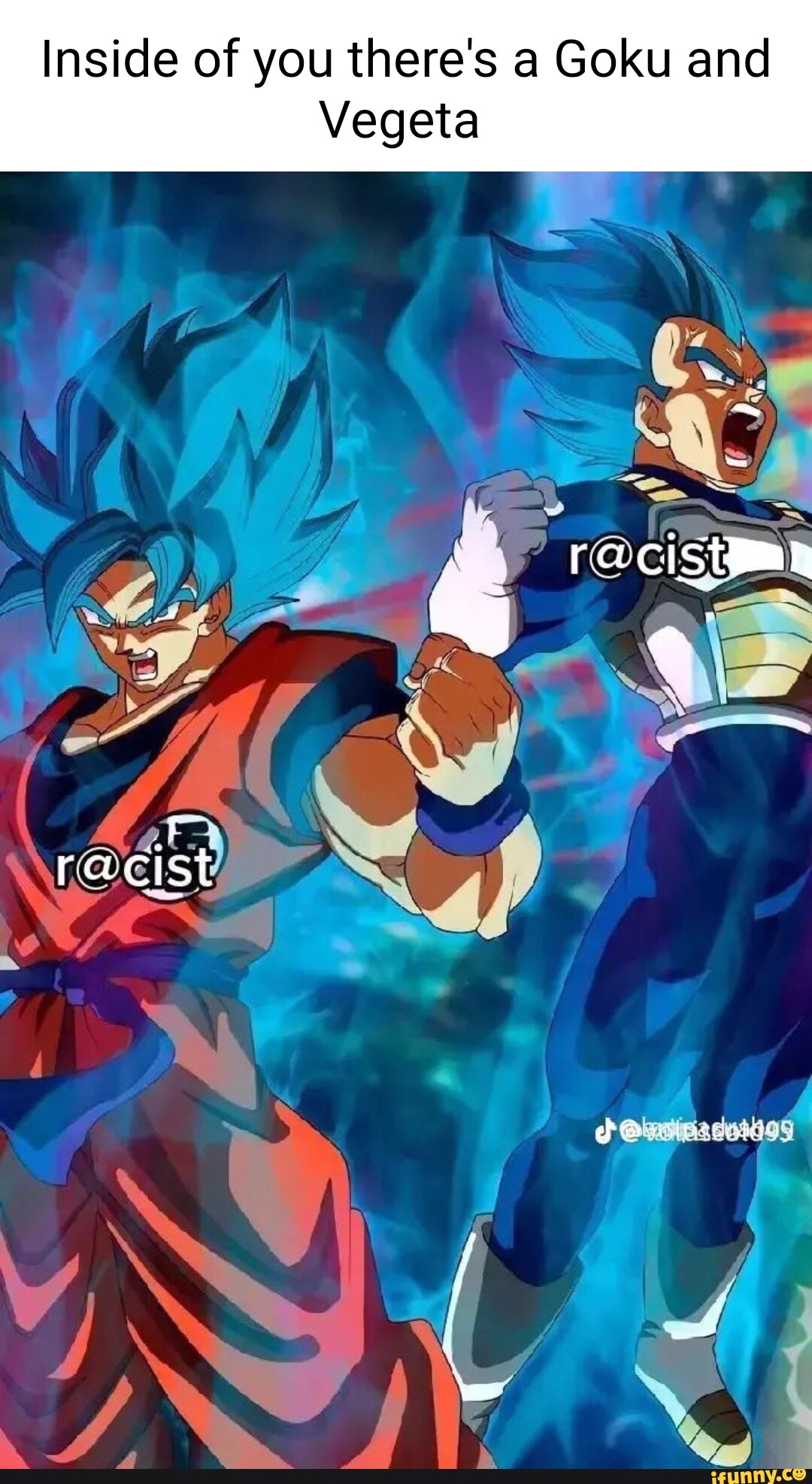 Inside of you there's a Goku and Vegeta racist ay For hee - iFunny